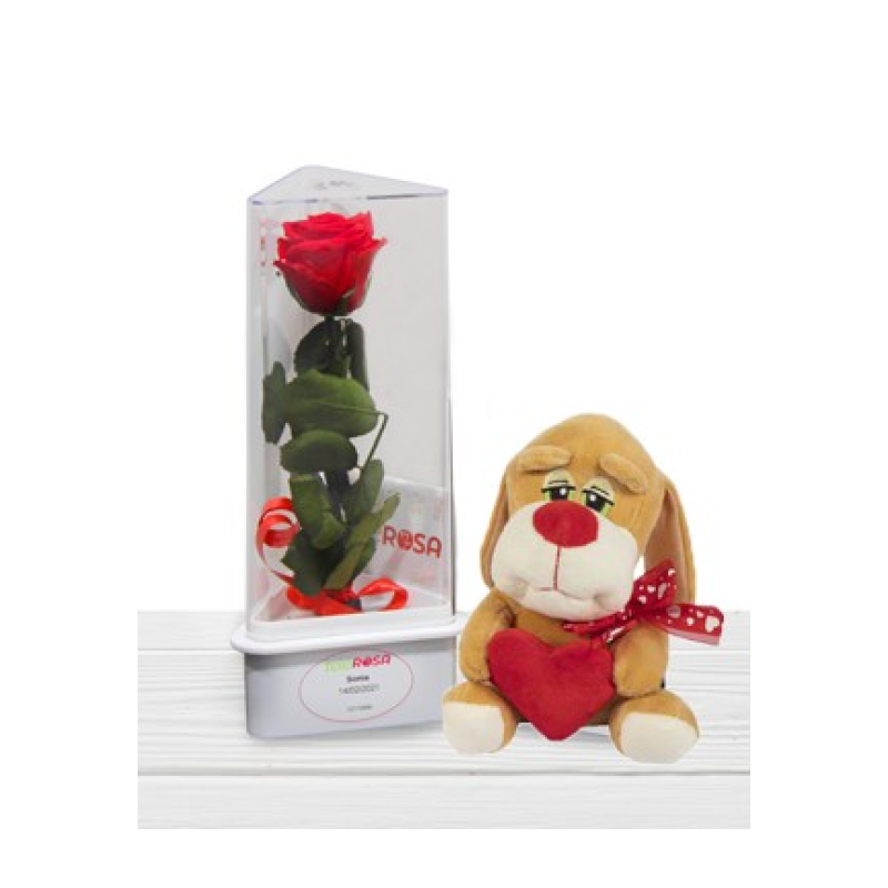 Preserved Eternal Rose Valentine Teddy Cheap Florist