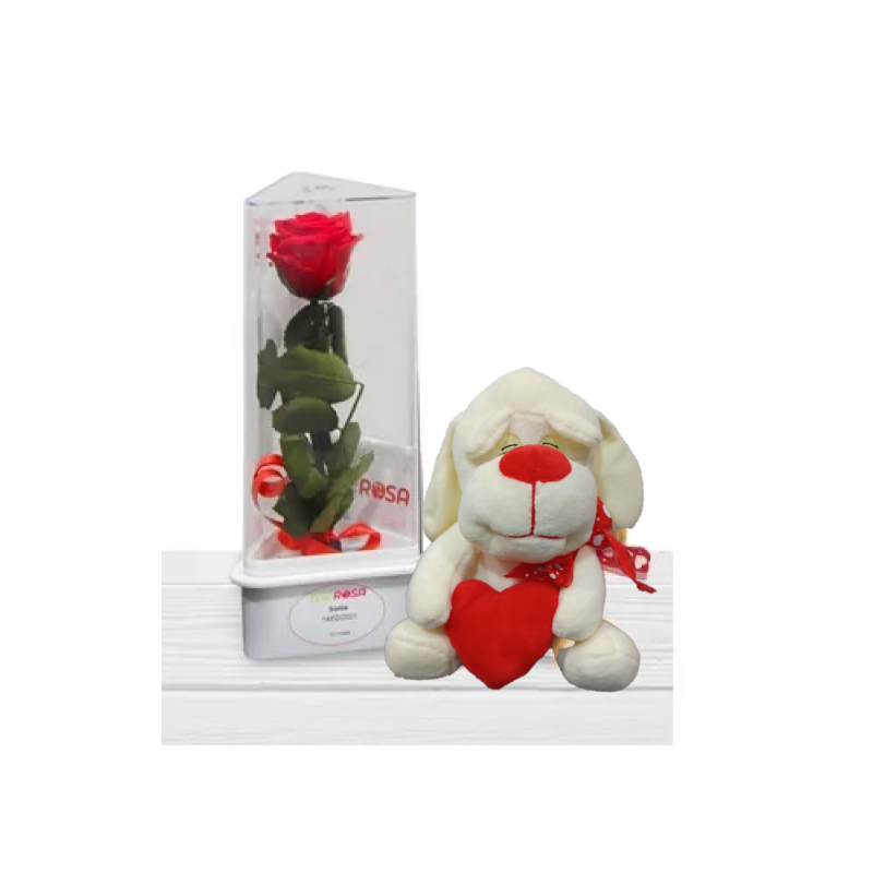 Preserved Eternal Rose Valentine Teddy Cheap Florist