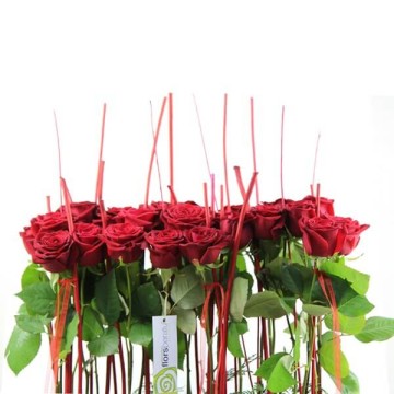 50 Roses | Spectacular Bouquet of 50 red roses with home delivery